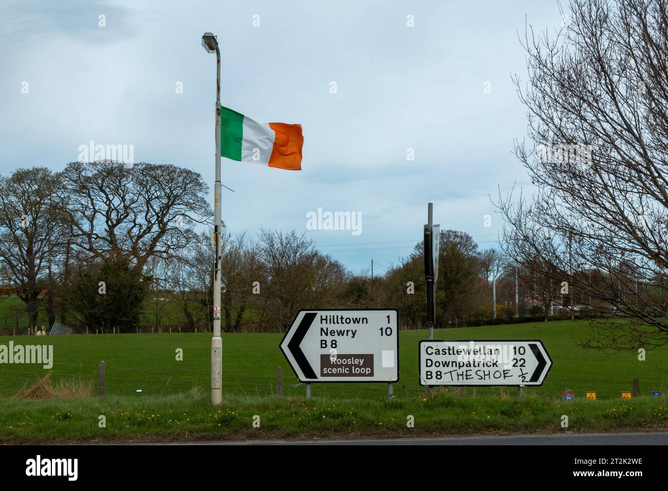 The flag of the Republic of Ireland flies over road signs, with quirky ...