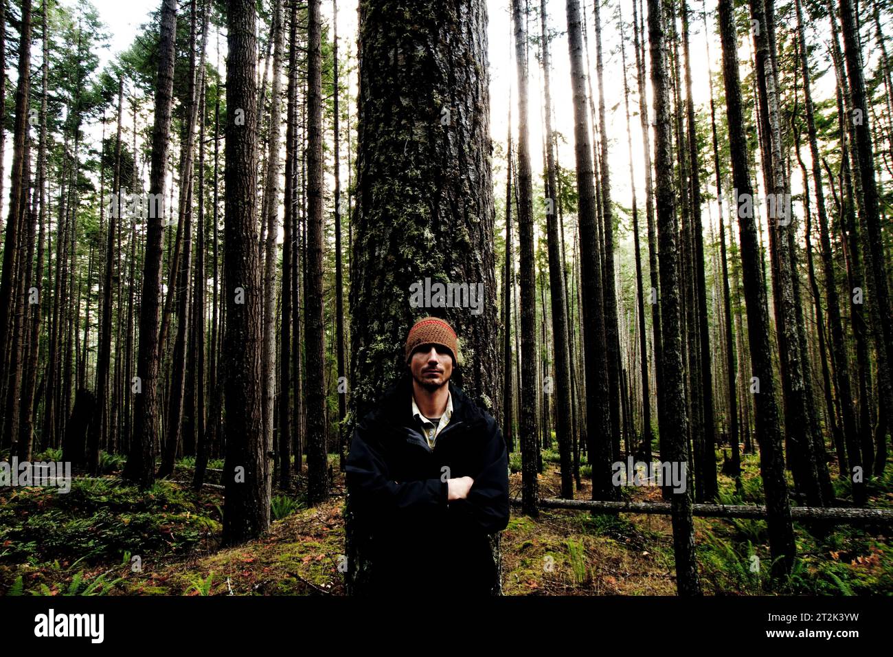 Jordan river state forest hi-res stock photography and images - Alamy