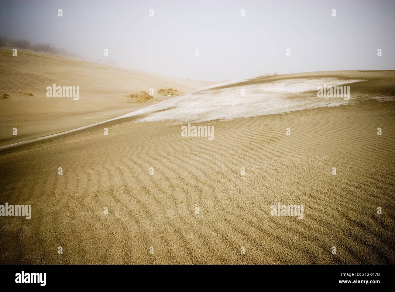 Snow on the sand dunes near Nida Curonian Spit Lithuania Stock Photo ...