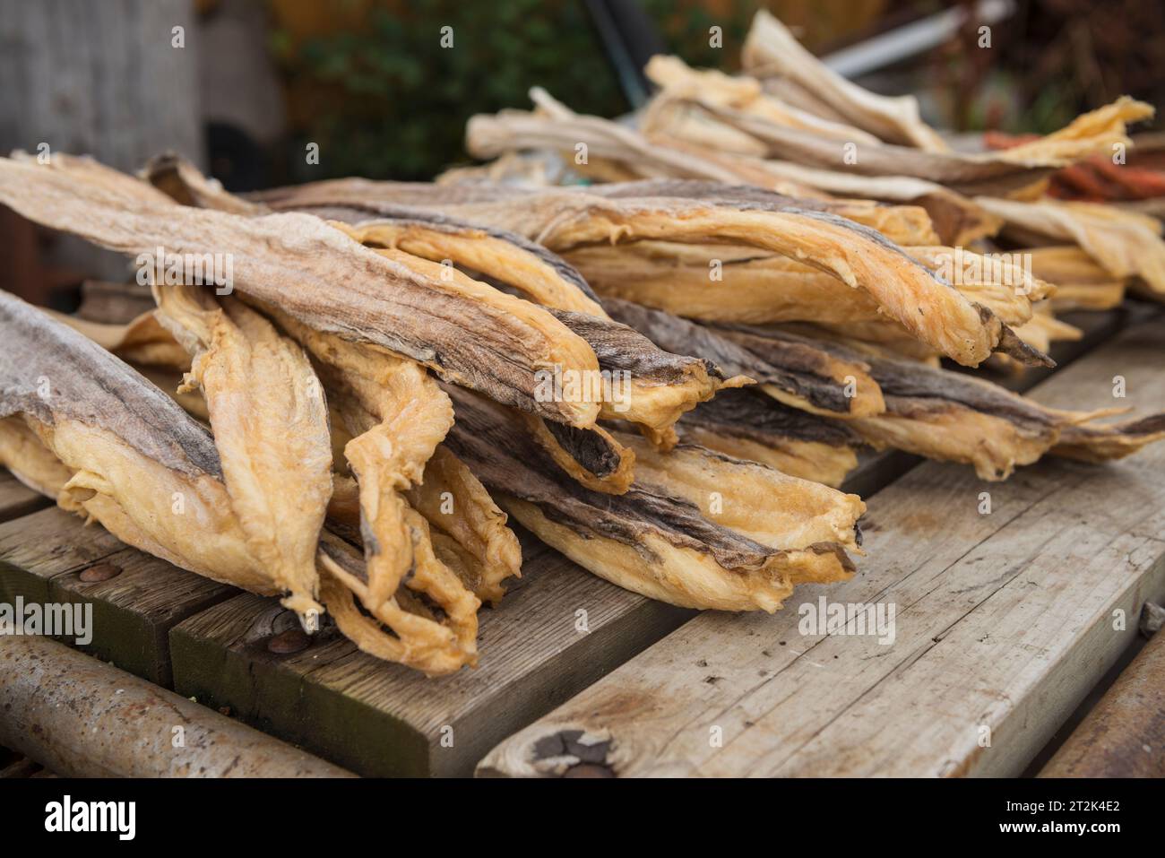 Lofoten dry cod hi-res stock photography and images - Alamy