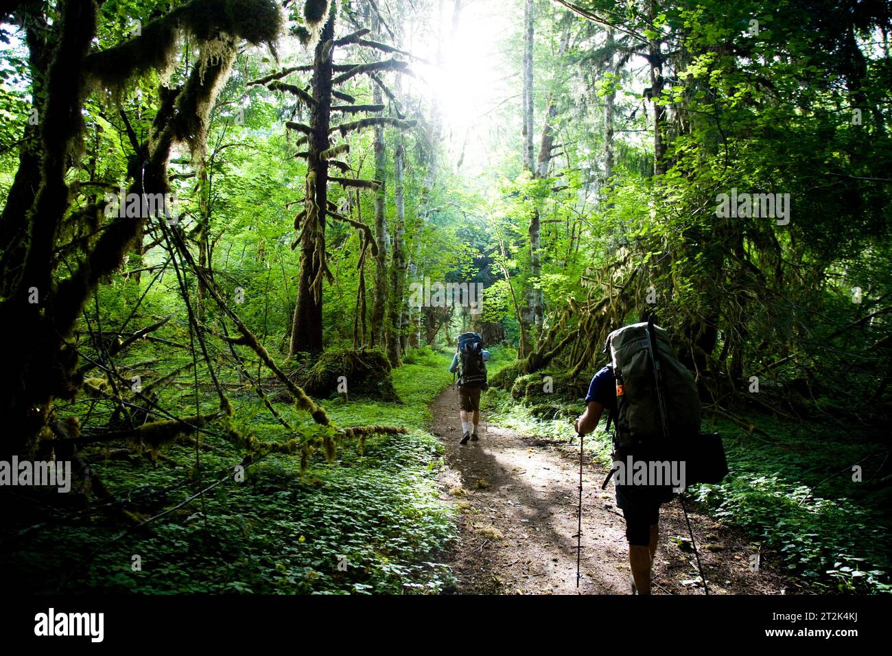 Two men, carrying backpacks, follow a trail through the dense forest of ...
