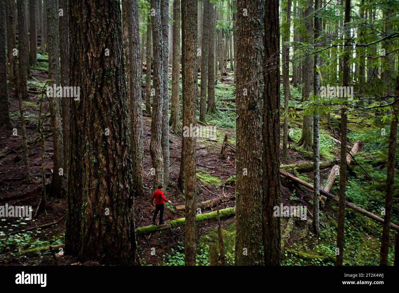 Balances scale hi-res stock photography and images - Alamy