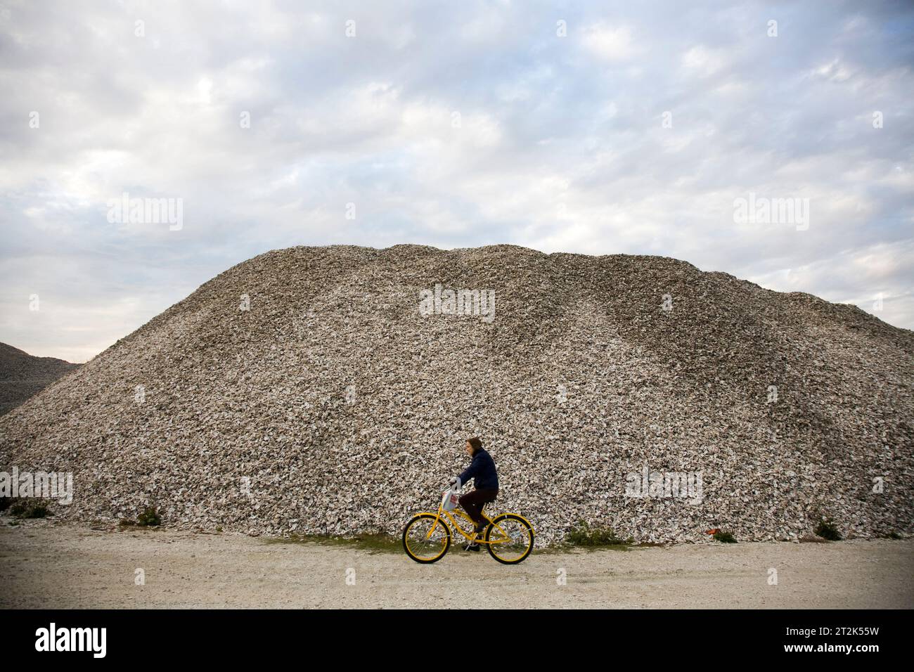A woman rides her bike alongside a pile of oyster shells, which are ...
