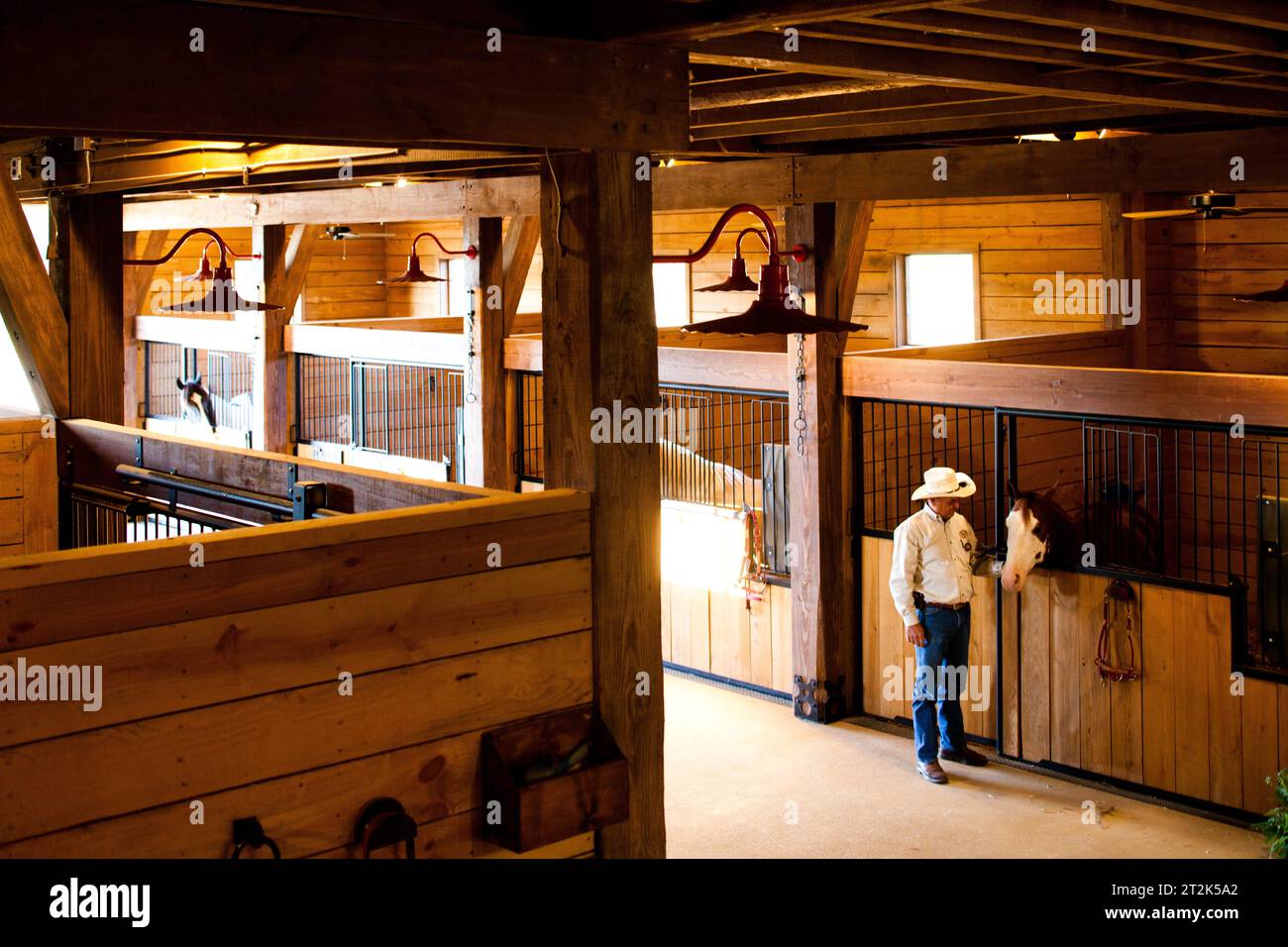 A man tends to a horse in its stables in Clayton, Georgia Stock Photo ...