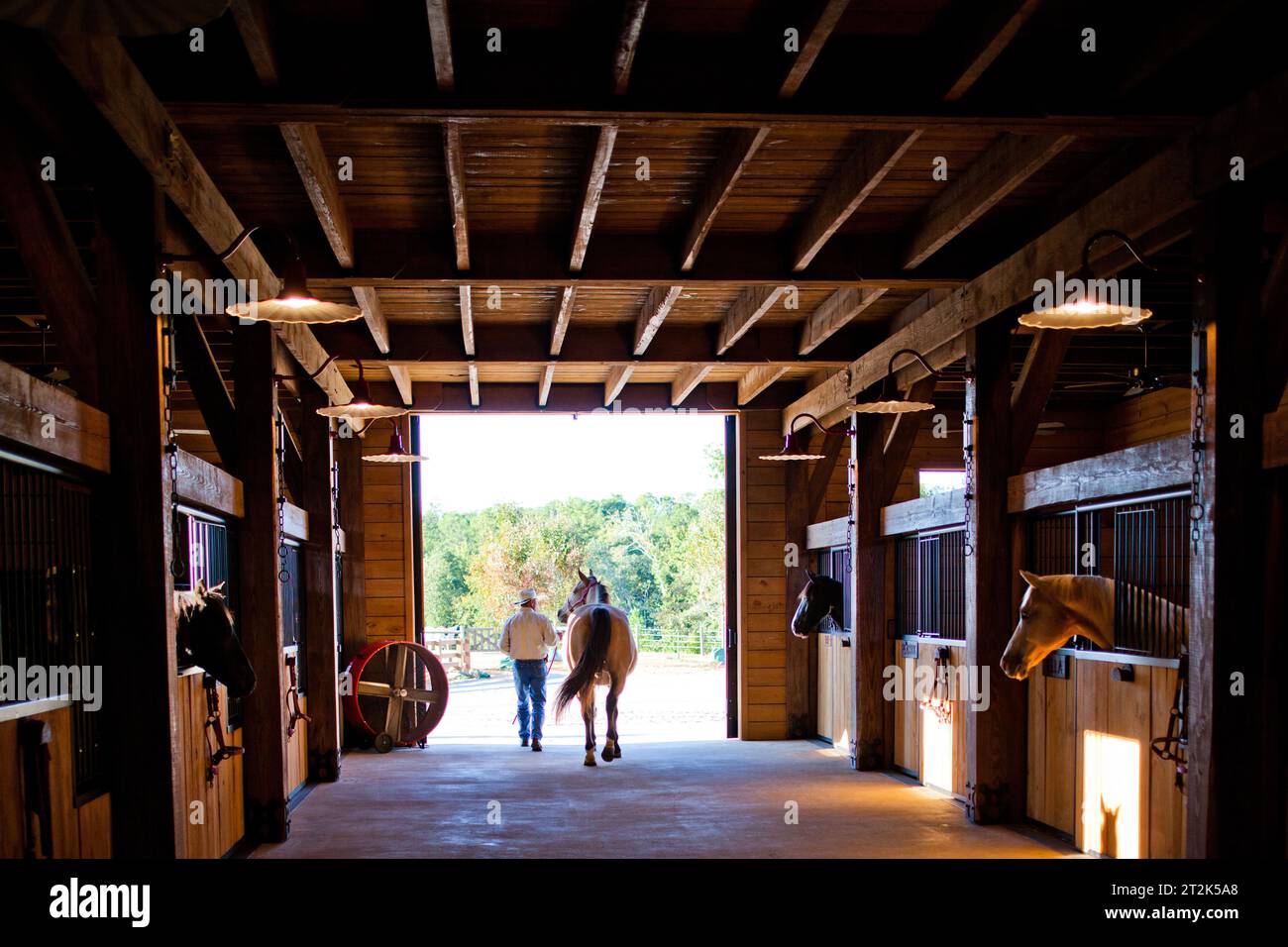 A man leads a horse out of stables in Clayton, Georgia Stock Photo - Alamy