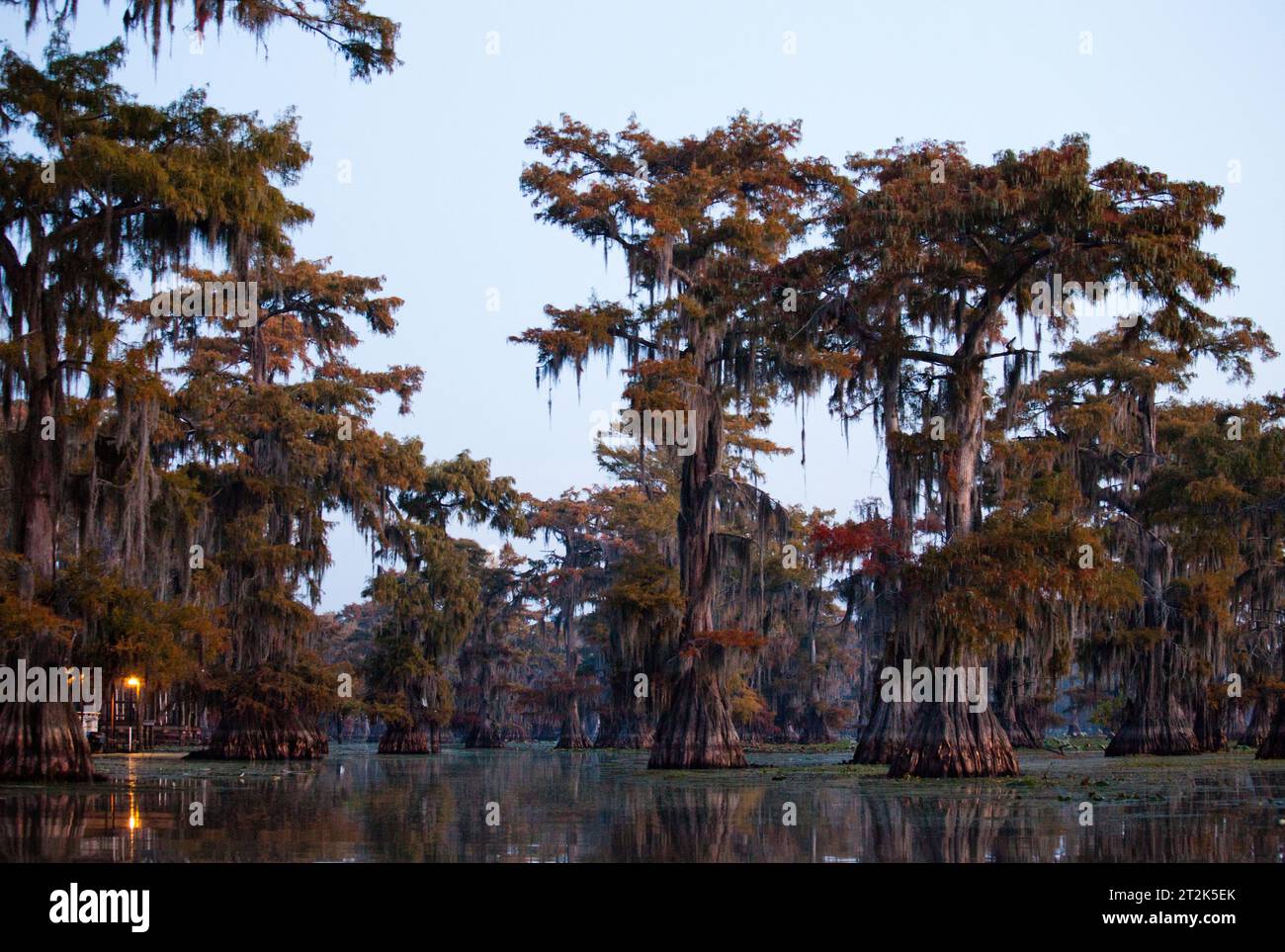 Landscape scene of a beautiful lake and cypress trees and colors of ...
