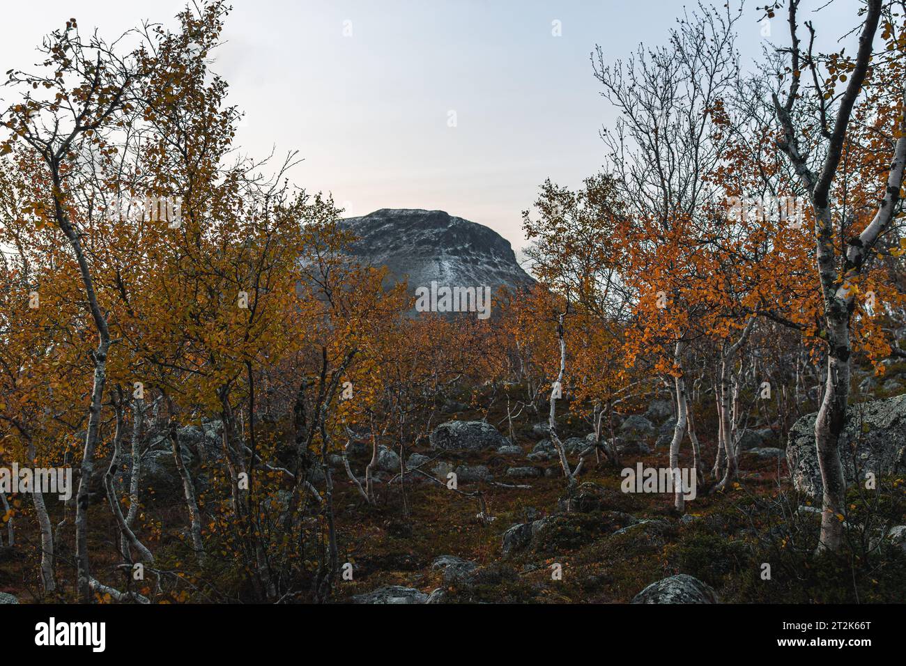Autumn landscape in Saana mountain, Lapland, Finland Stock Photo - Alamy