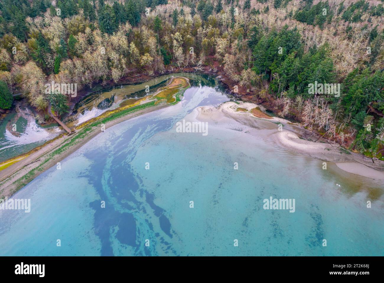 Tolmie State Park waterfront in December Stock Photo - Alamy