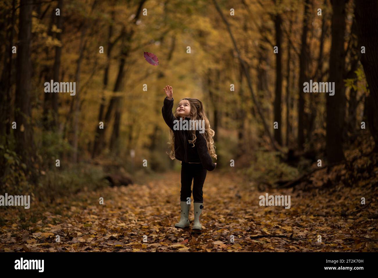 Equinox pond hi-res stock photography and images - Alamy