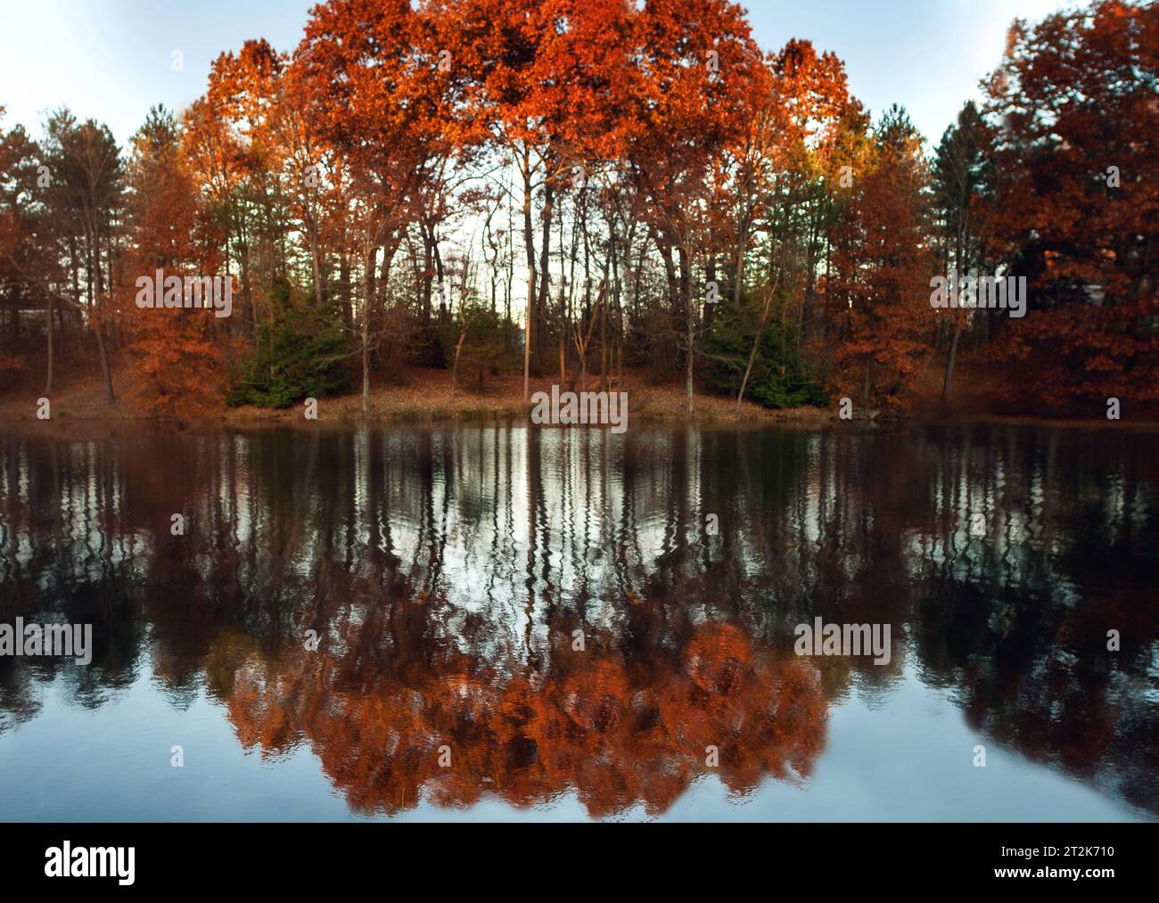 Beautiful colorful autumn trees reflecting on water Stock Photo - Alamy