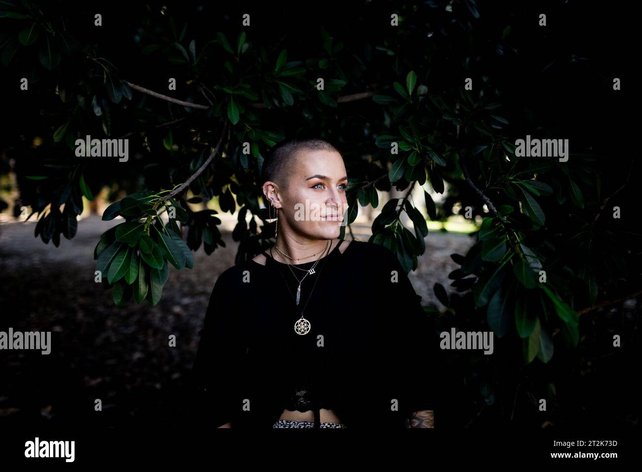 Portrait of Non Binary Person with Shaved Head in San Diego Stock Photo ...