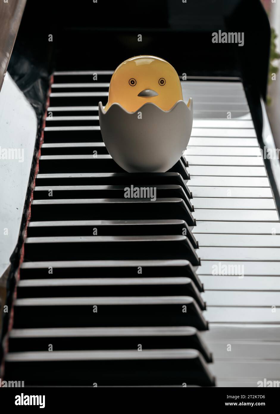 Baby chick cartoon sitting in broken egg stand on the Piano Keyboard ...