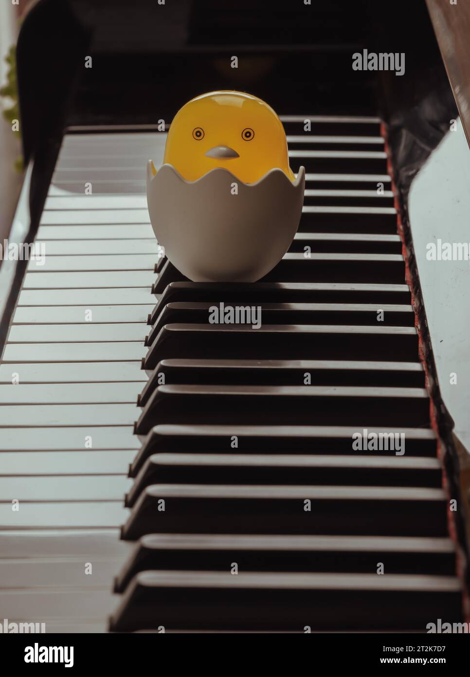 Duckling hatching from egg hi-res stock photography and images - Alamy