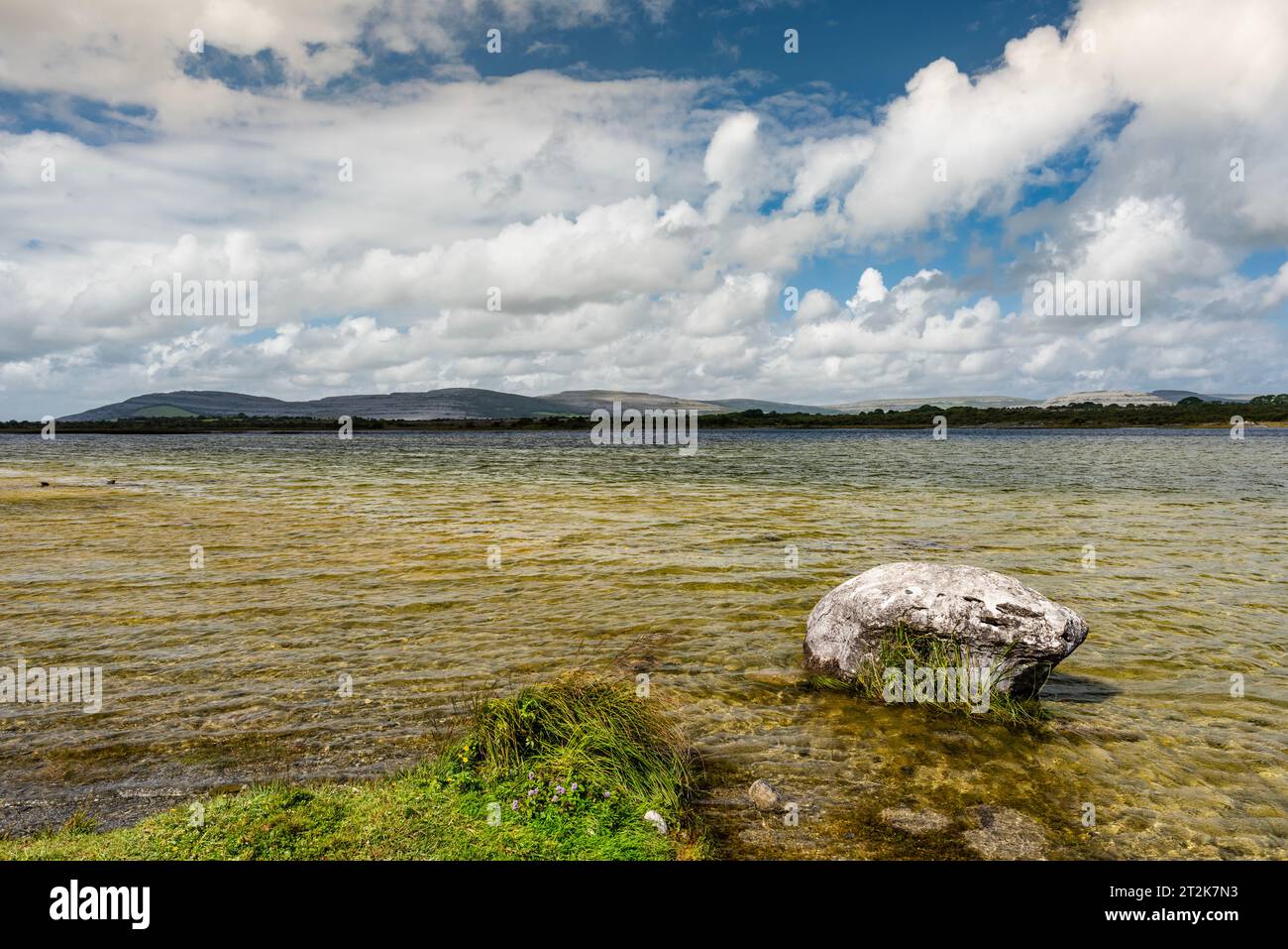 The lake at Coole Park Nature Reserve, is part of a system of ephemeral ...