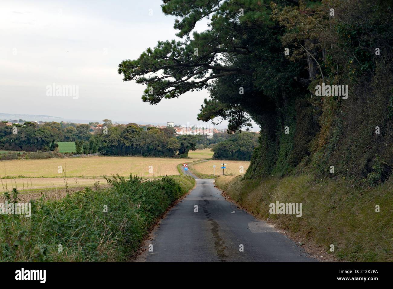 View looking down Ringwould Road, (part of the Skylark trail), looking ...