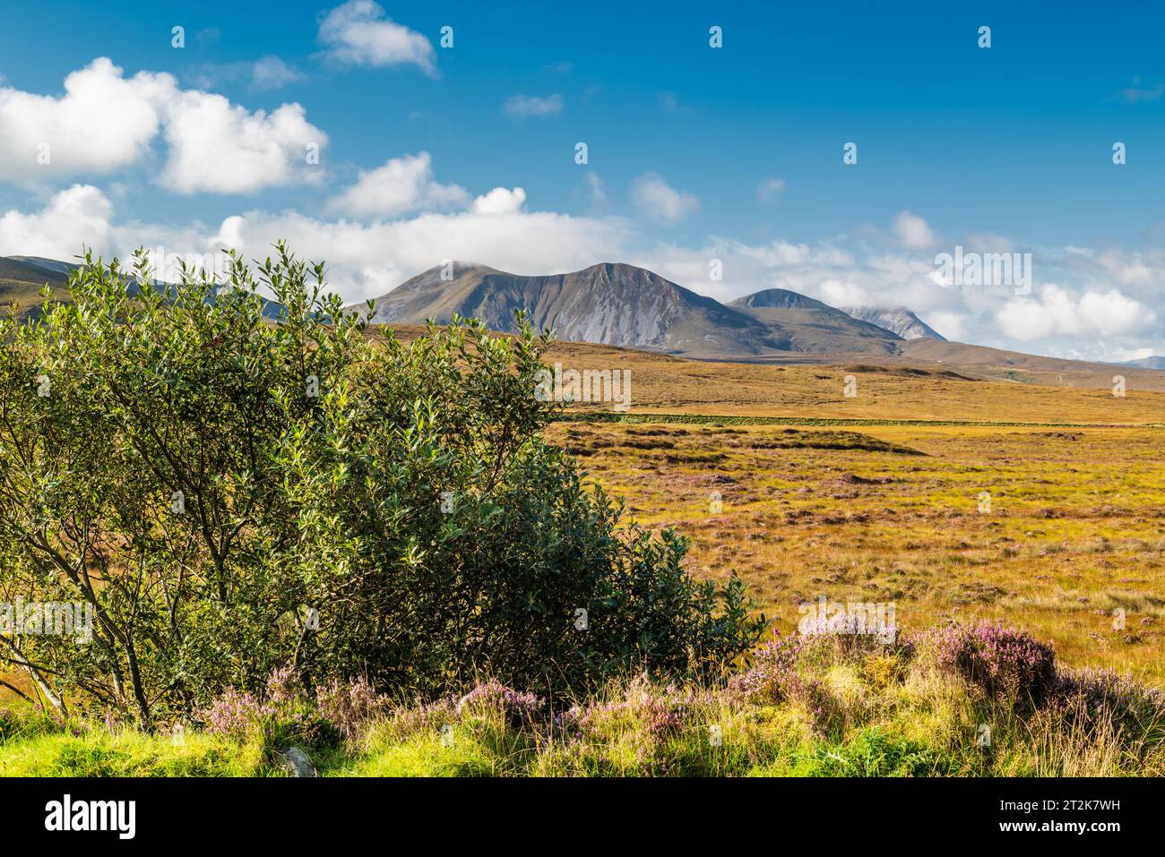 View across bogland towards the Derryveagh Mountains, including the ...
