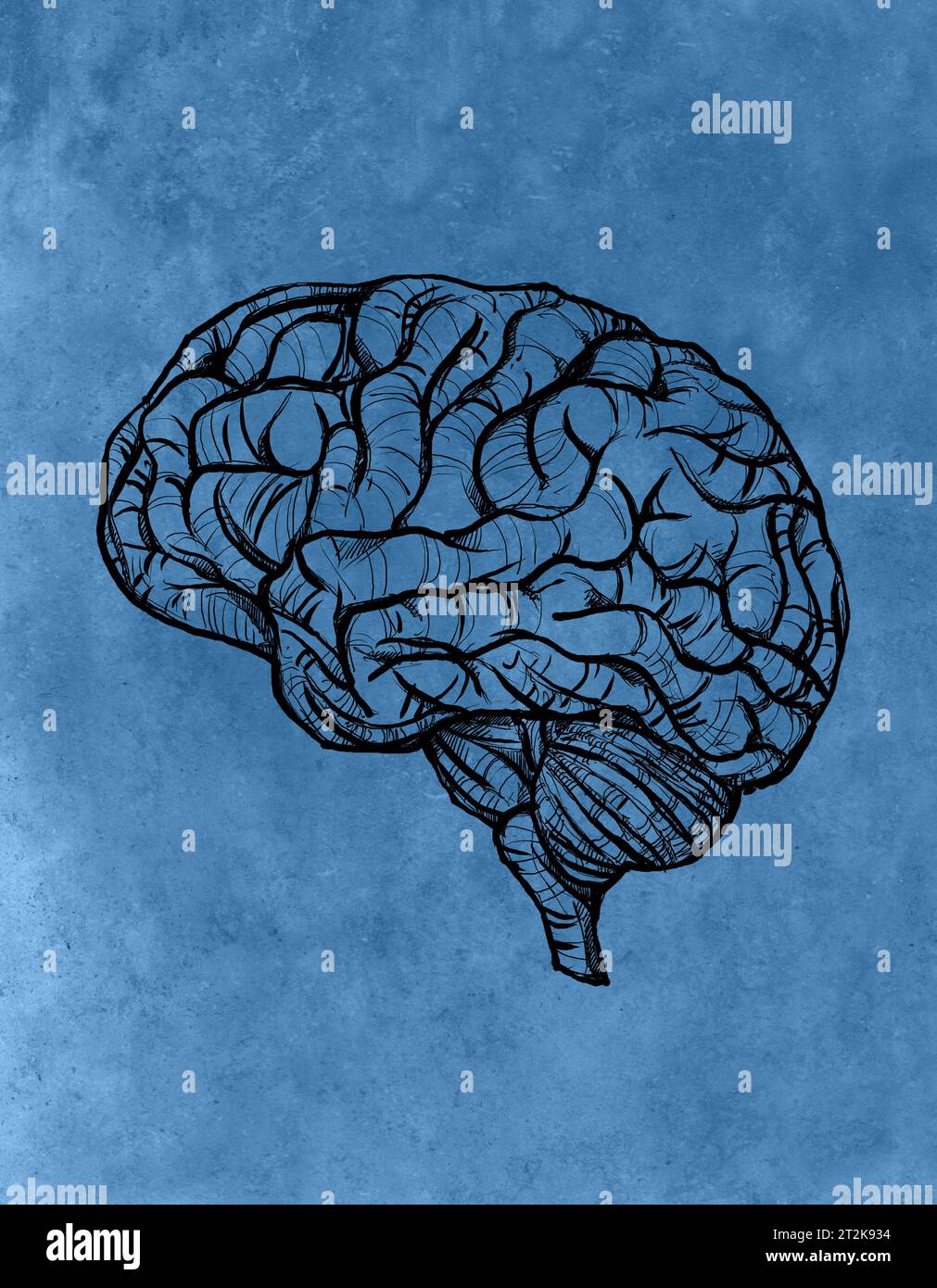 human brain, digital drawing Stock Photo - Alamy