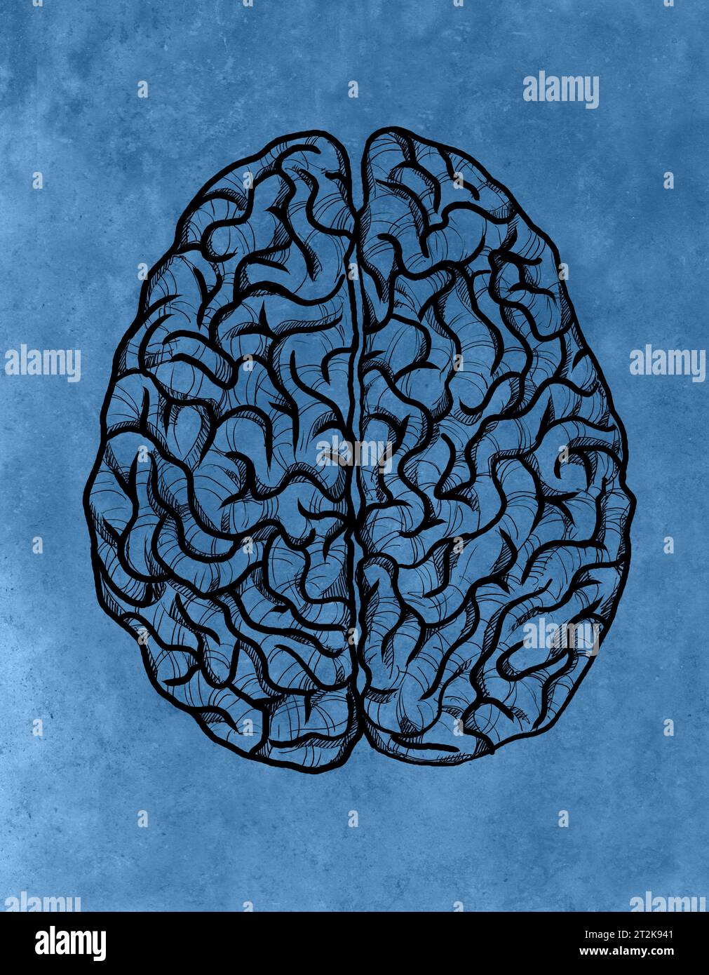 human brain, digital drawing Stock Photo - Alamy