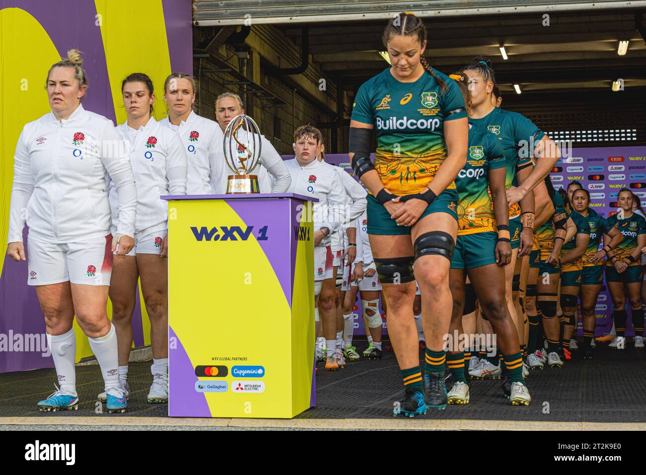 England red roses rugby hi-res stock photography and images - Alamy