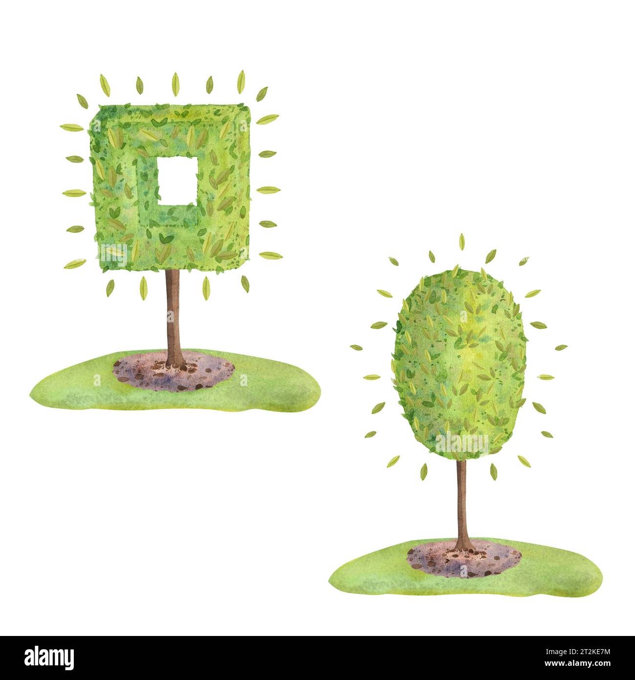 Compositions of stylized green trees with oval and square shaped leaves ...