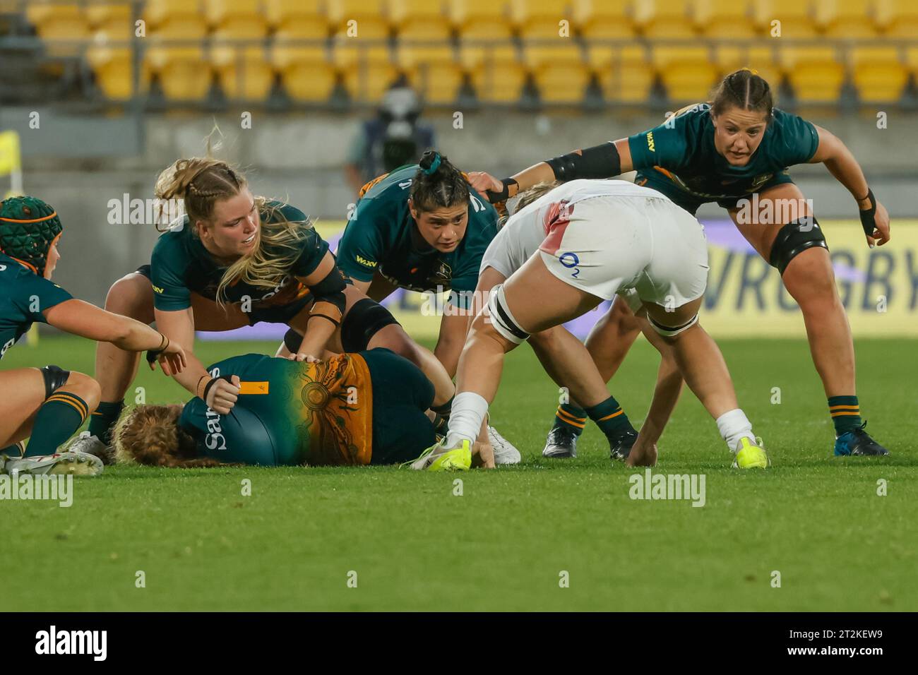 Wallaroo australia rugby hi-res stock photography and images - Alamy