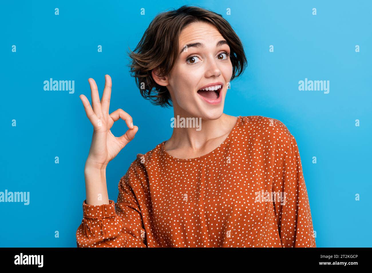 Portrait of cheerful attractive girl raise hand showing okey symbol ...