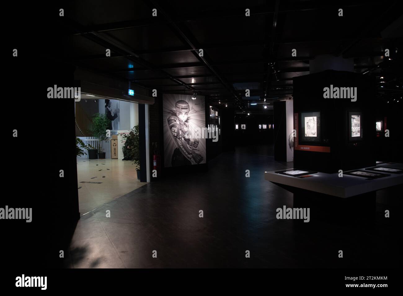 Comics international festival angouleme FIBD Stock Photo - Alamy