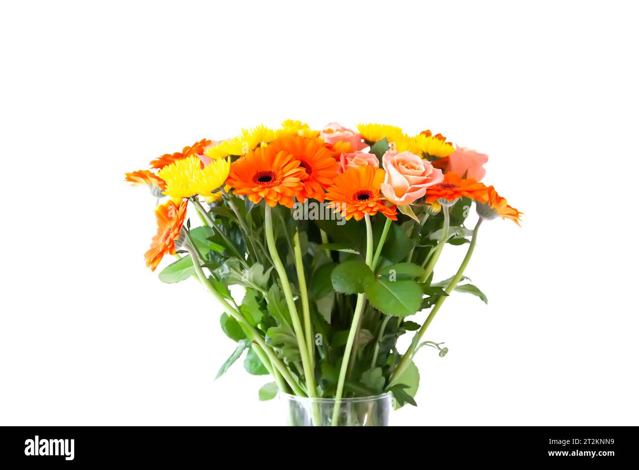 Composition of bright beautiful fresh flowers Stock Photo - Alamy