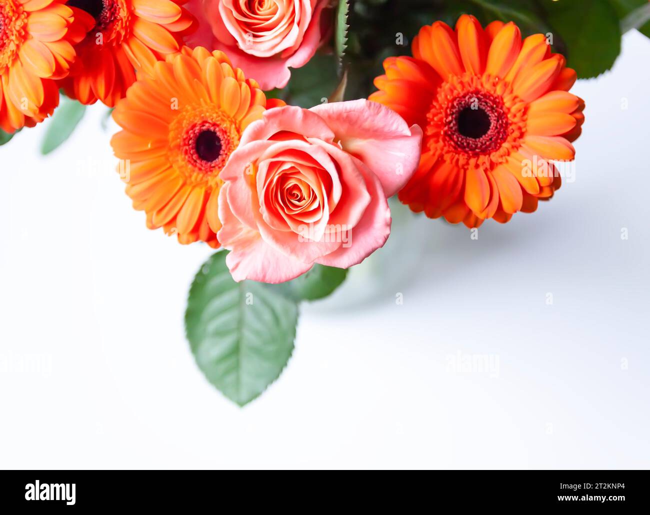 Composition of bright beautiful fresh flowers Stock Photo - Alamy