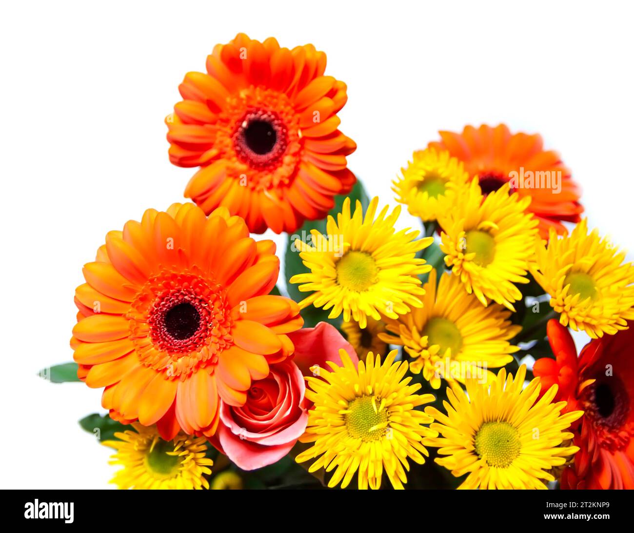 Composition of bright beautiful fresh flowers Stock Photo - Alamy