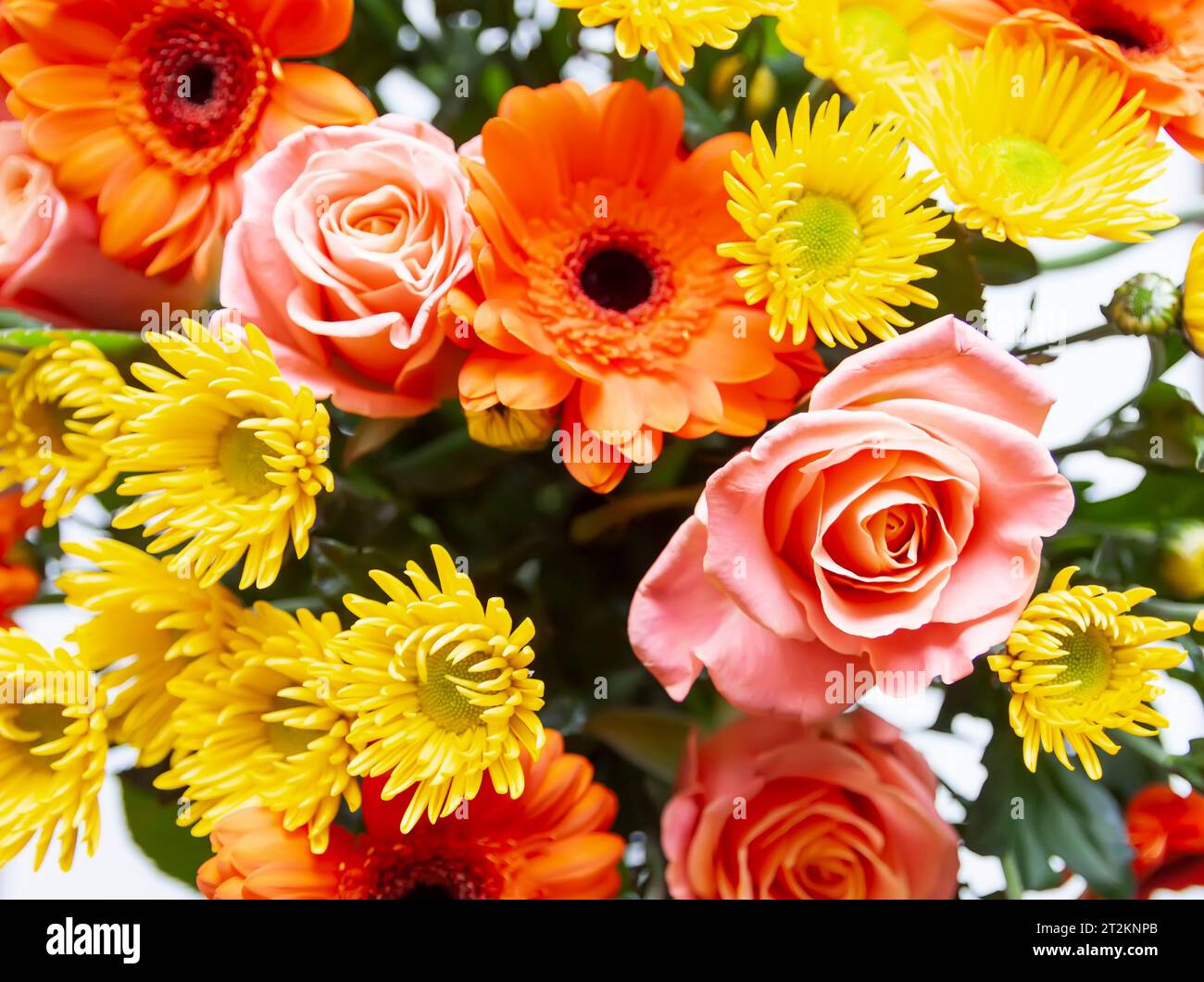 Composition of bright beautiful fresh flowers Stock Photo - Alamy