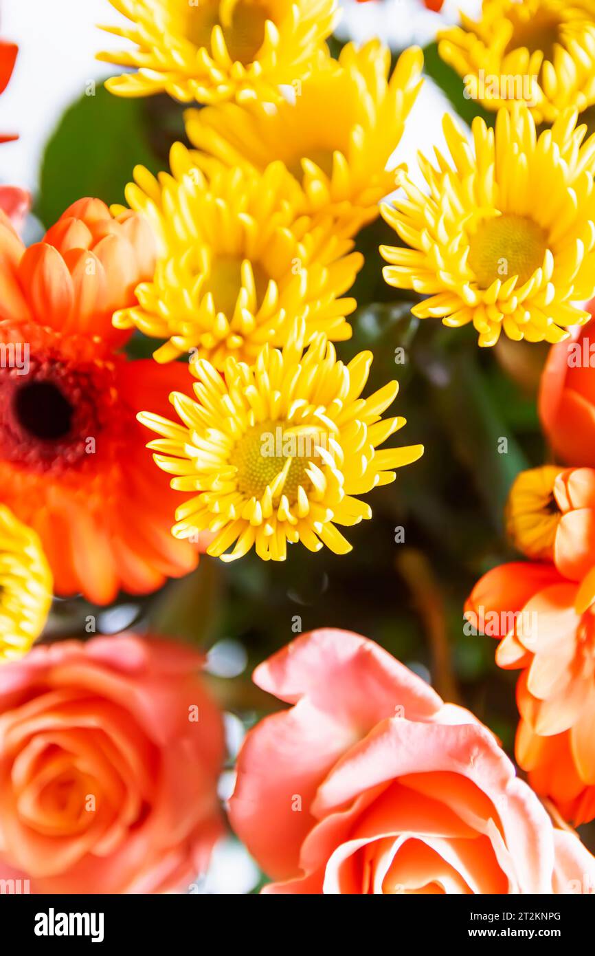 Composition of bright beautiful fresh flowers Stock Photo - Alamy