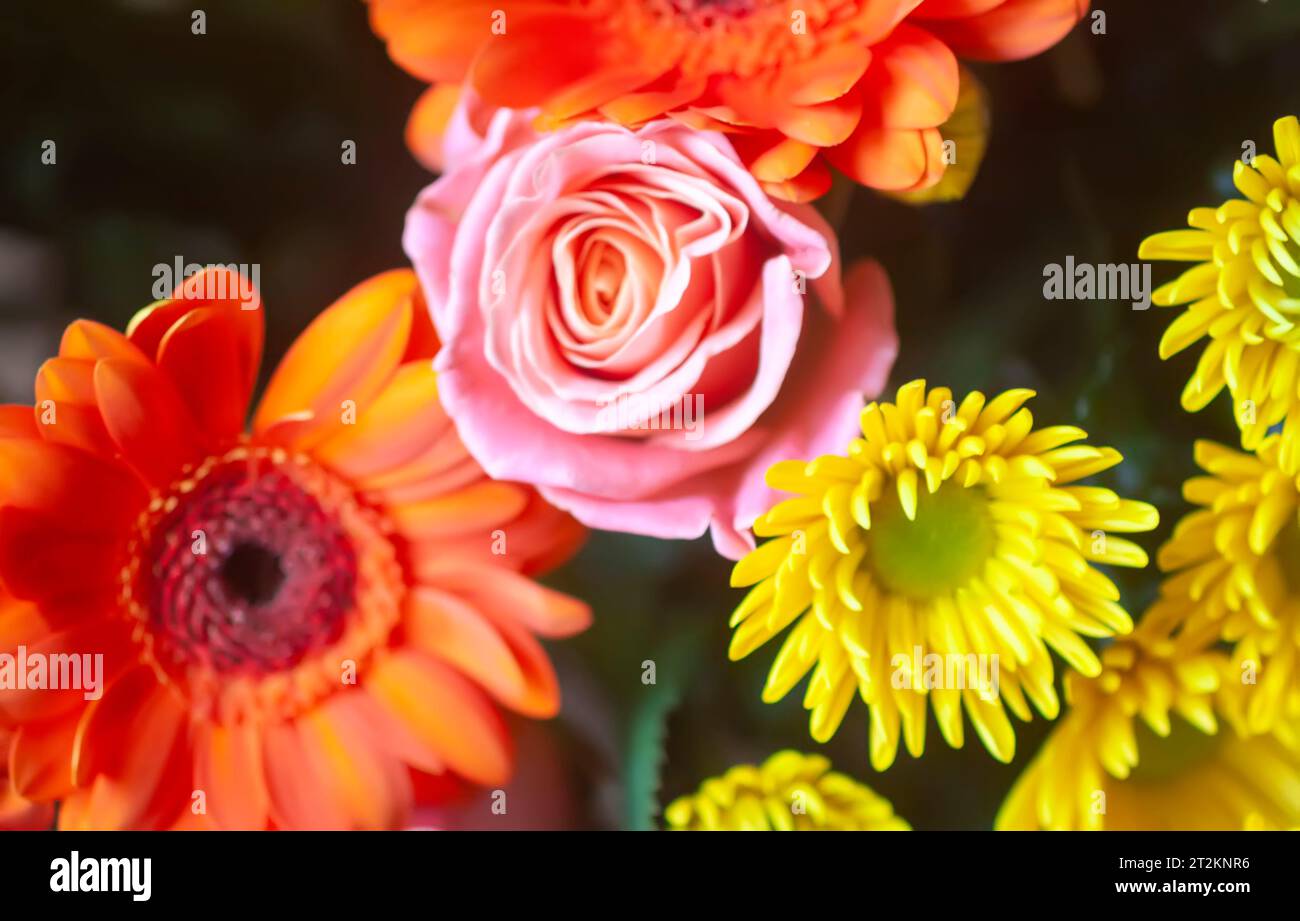 Composition of bright beautiful fresh flowers Stock Photo - Alamy