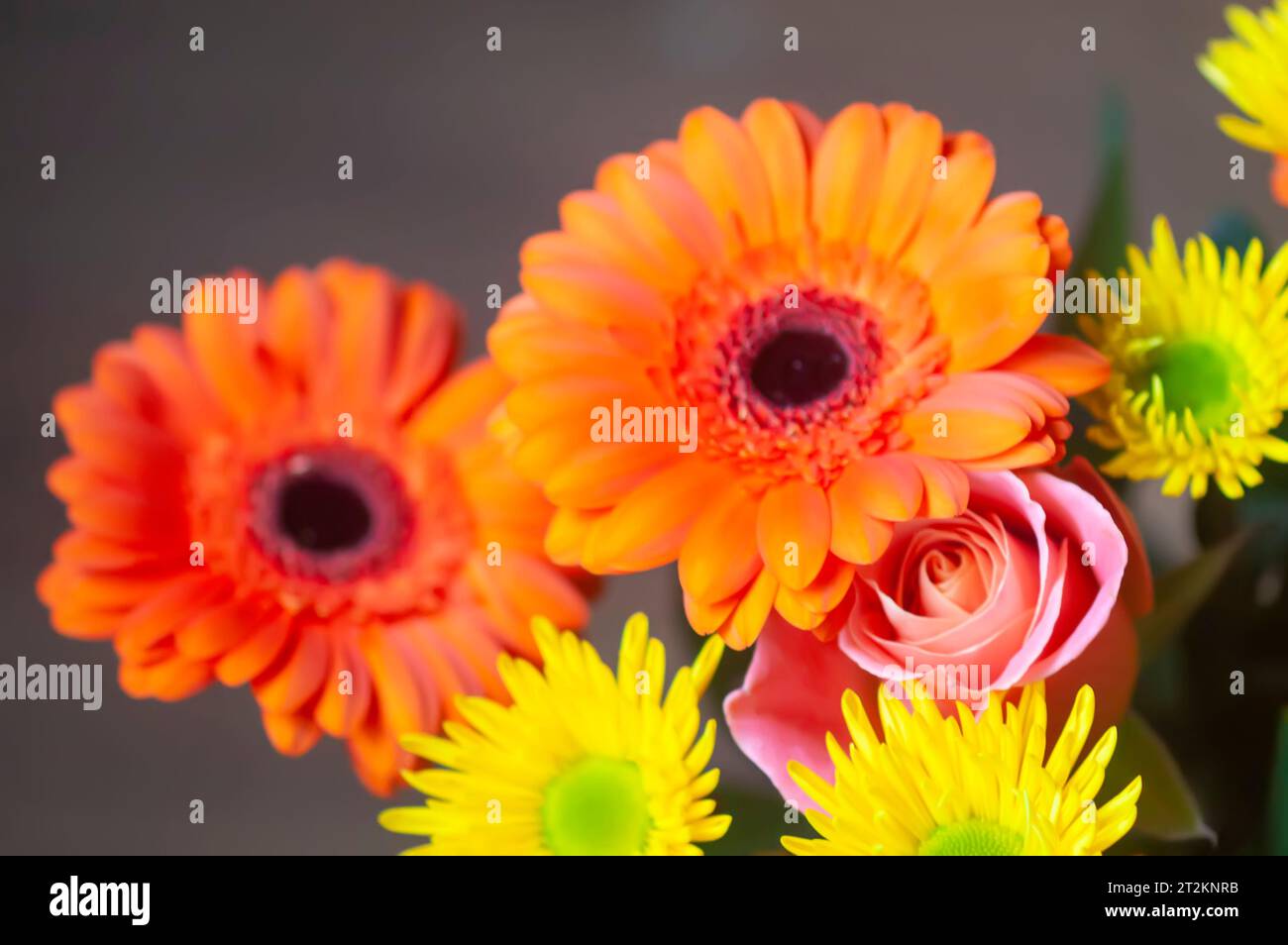 Composition of bright beautiful fresh flowers Stock Photo - Alamy