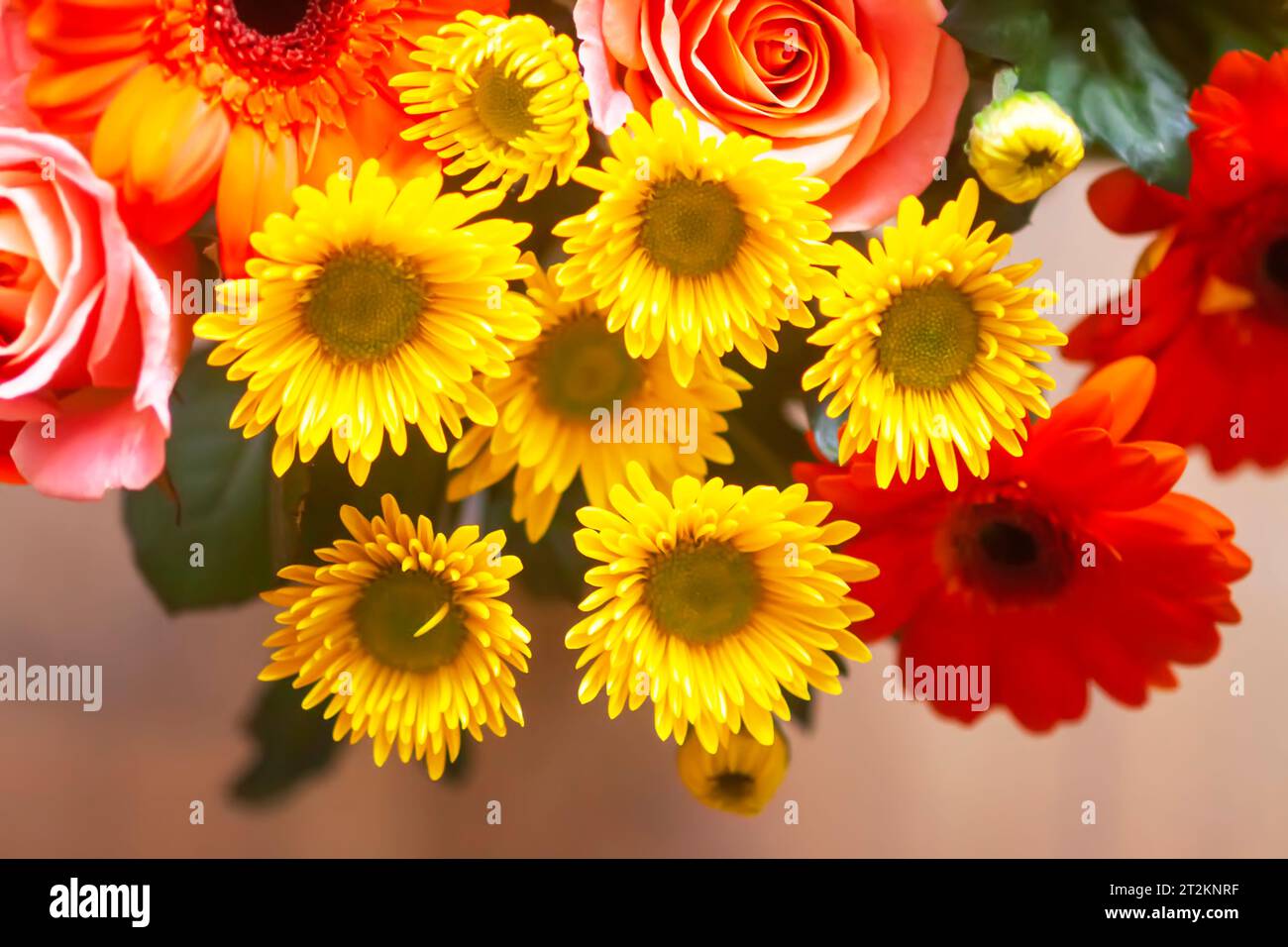 Composition of bright beautiful fresh flowers Stock Photo - Alamy