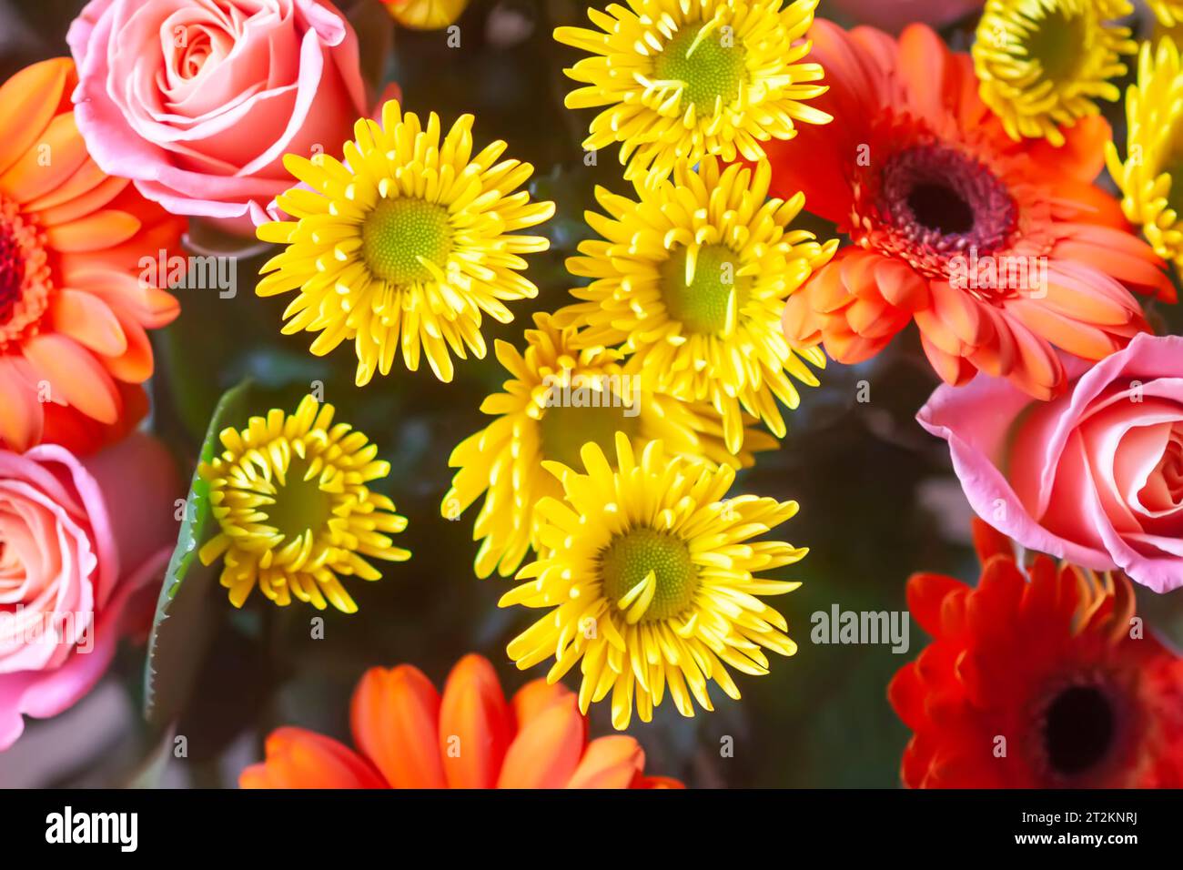 Composition of bright beautiful fresh flowers Stock Photo - Alamy