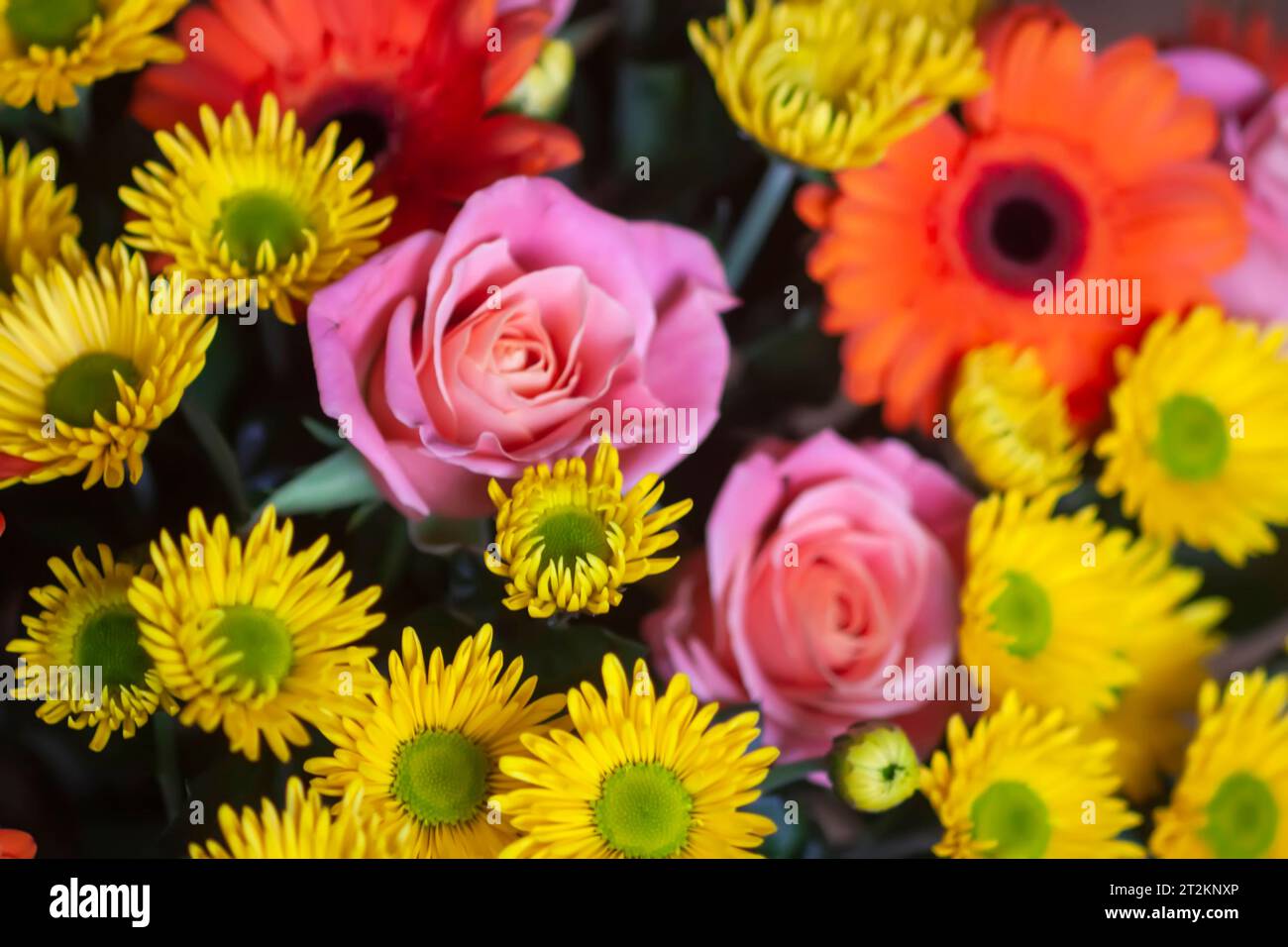 Composition of bright beautiful fresh flowers Stock Photo - Alamy