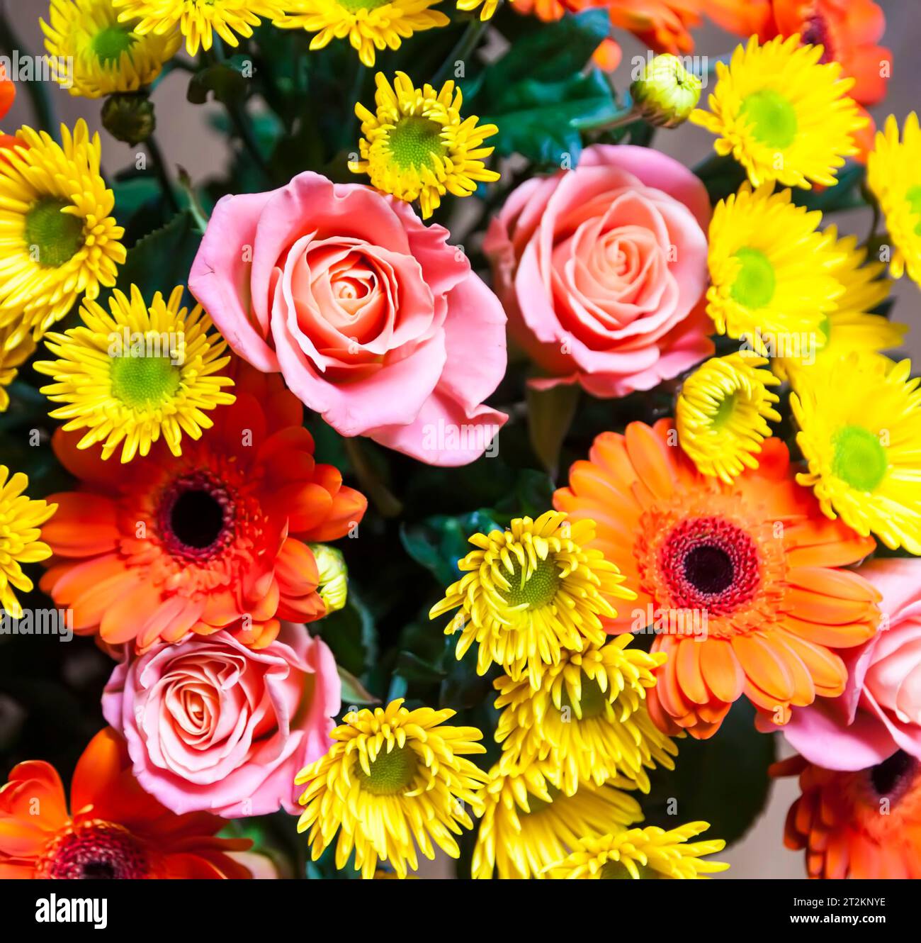 Composition of bright beautiful fresh flowers Stock Photo - Alamy