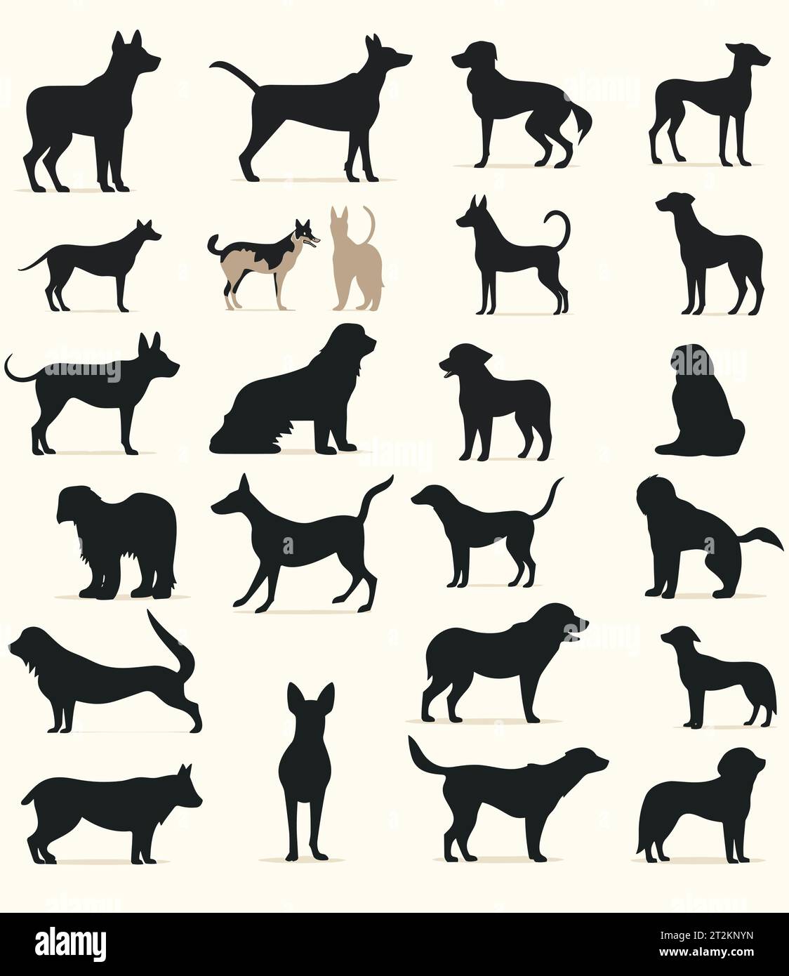 Vector illustrations of dog breeds Stock Vector Image & Art - Alamy