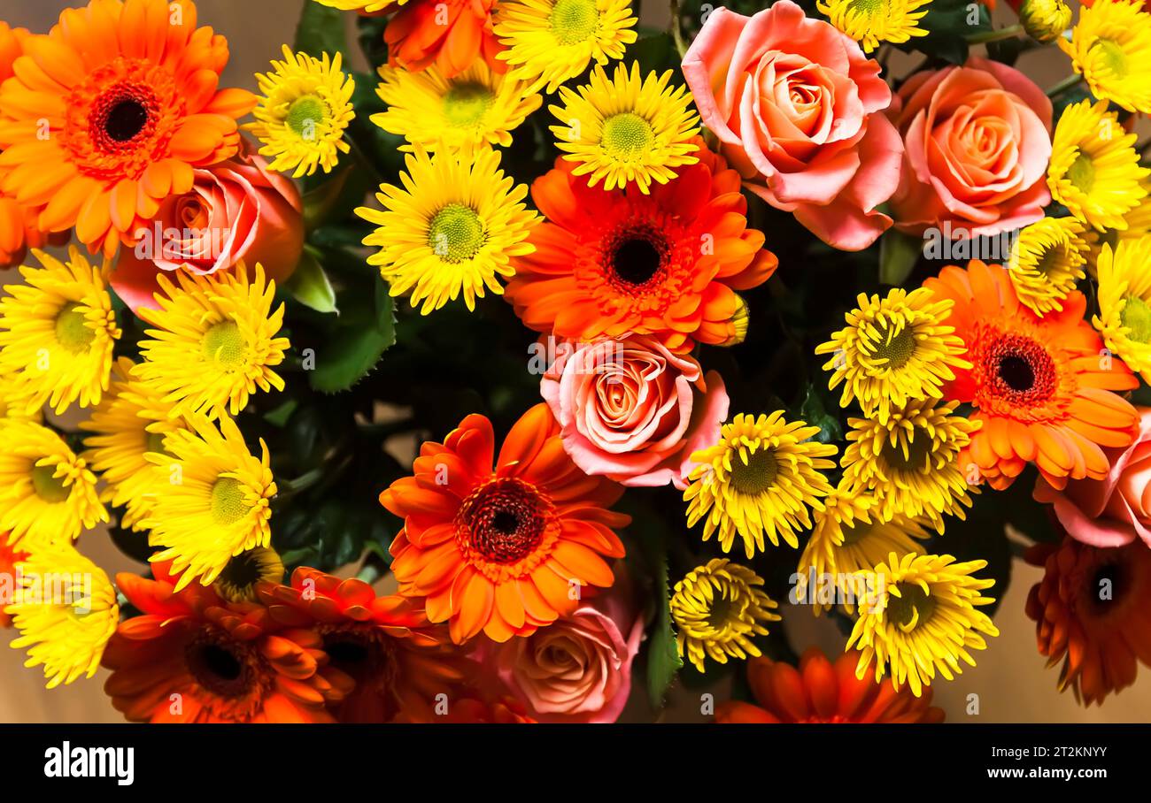 Composition of bright beautiful fresh flowers Stock Photo - Alamy