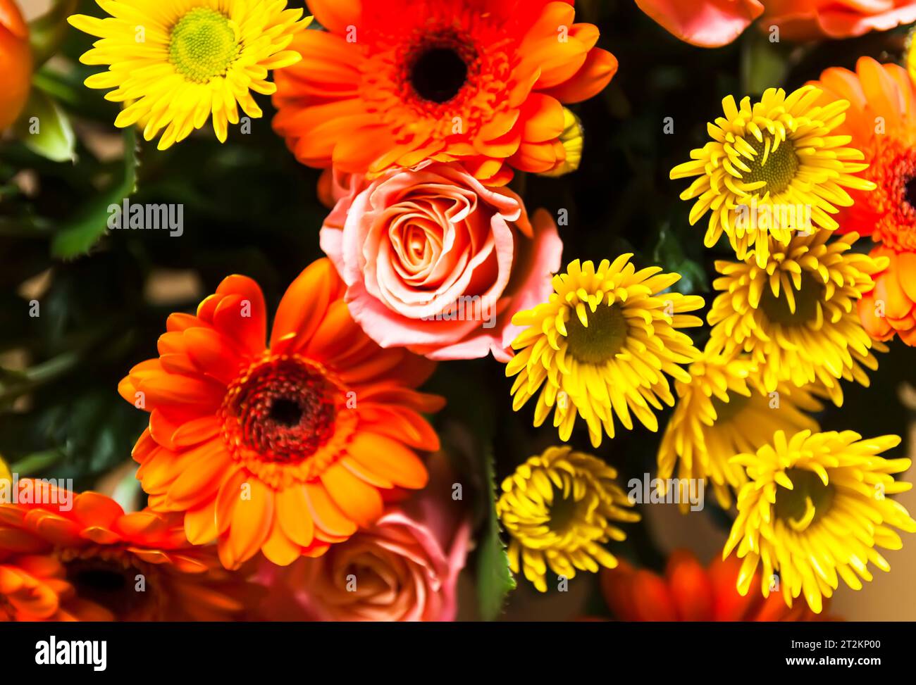 Composition of bright beautiful fresh flowers Stock Photo - Alamy