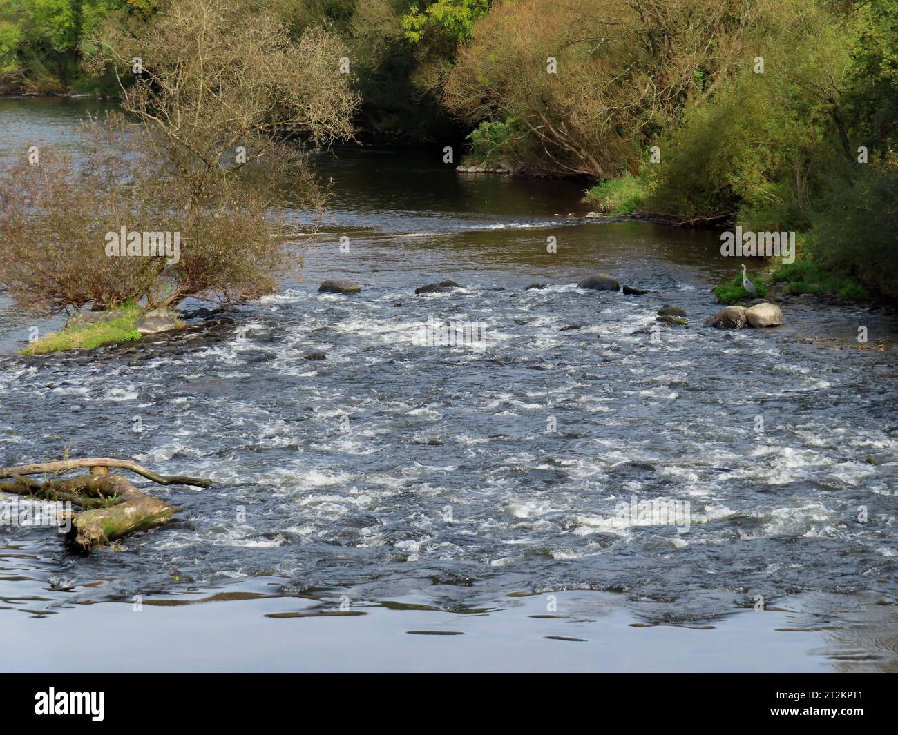 Sieg fluss hi-res stock photography and images - Alamy