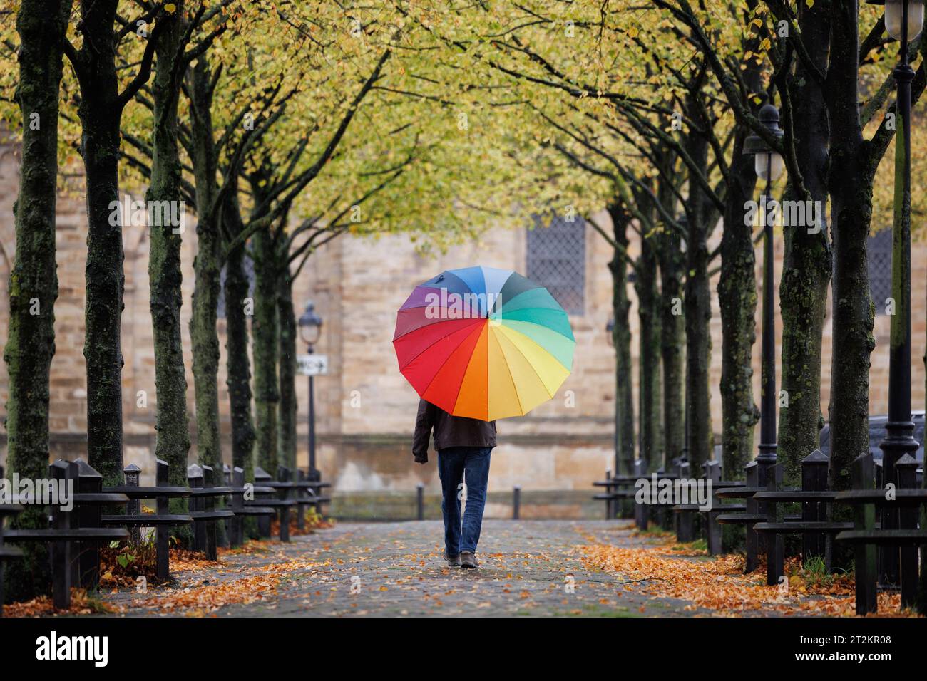 20 October 2023, Lower Saxony, Osnabrück: A man walks with a rainbow ...