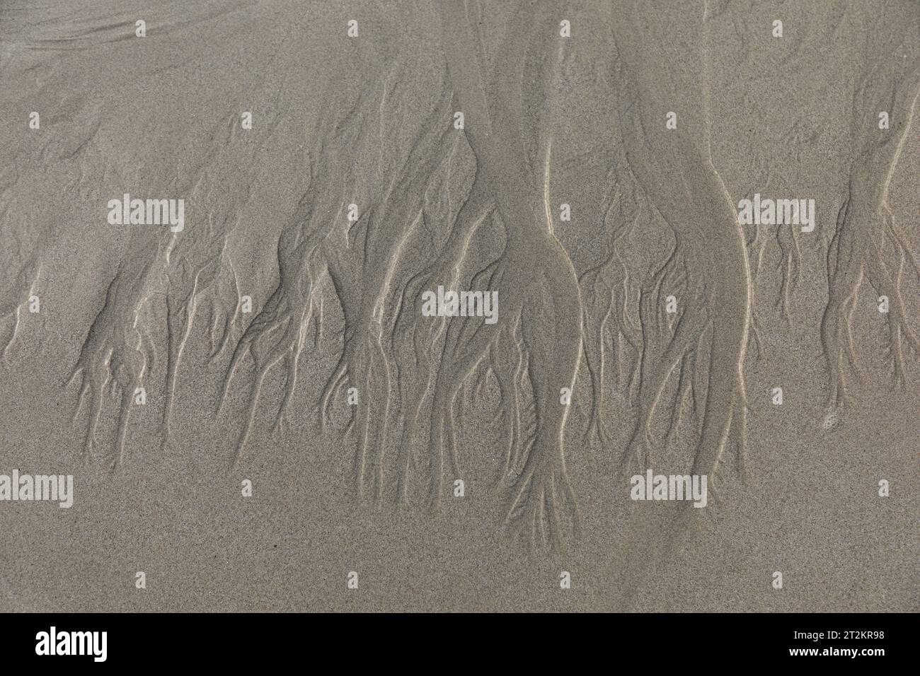 patterns in the sand Stock Photo - Alamy