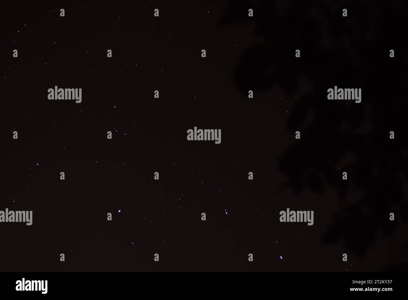 night sky & stars & trees Stock Photo - Alamy