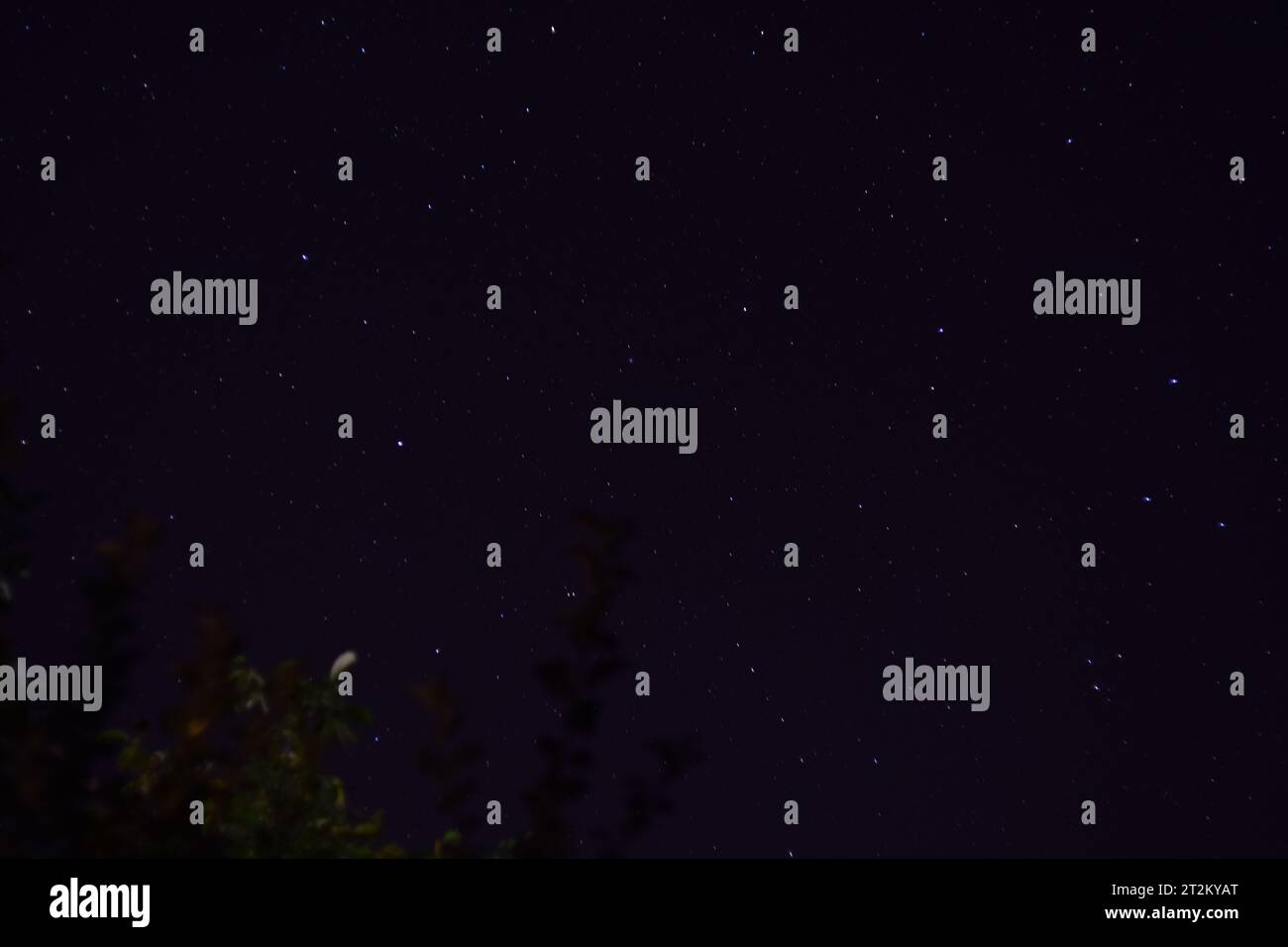 night sky & stars & trees Stock Photo - Alamy