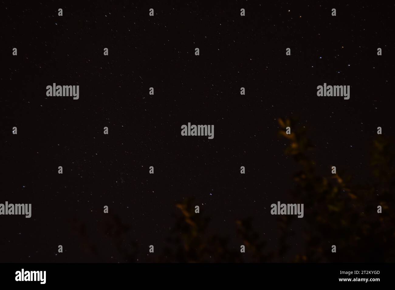 night sky & stars & trees Stock Photo - Alamy