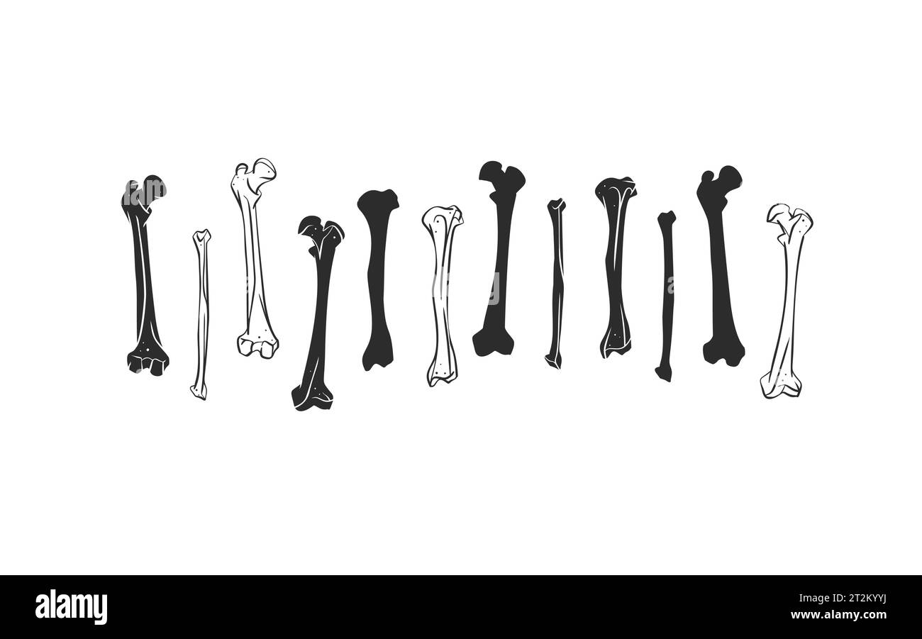 Hand drawn vector abstract graphic line art collection set of Human ...