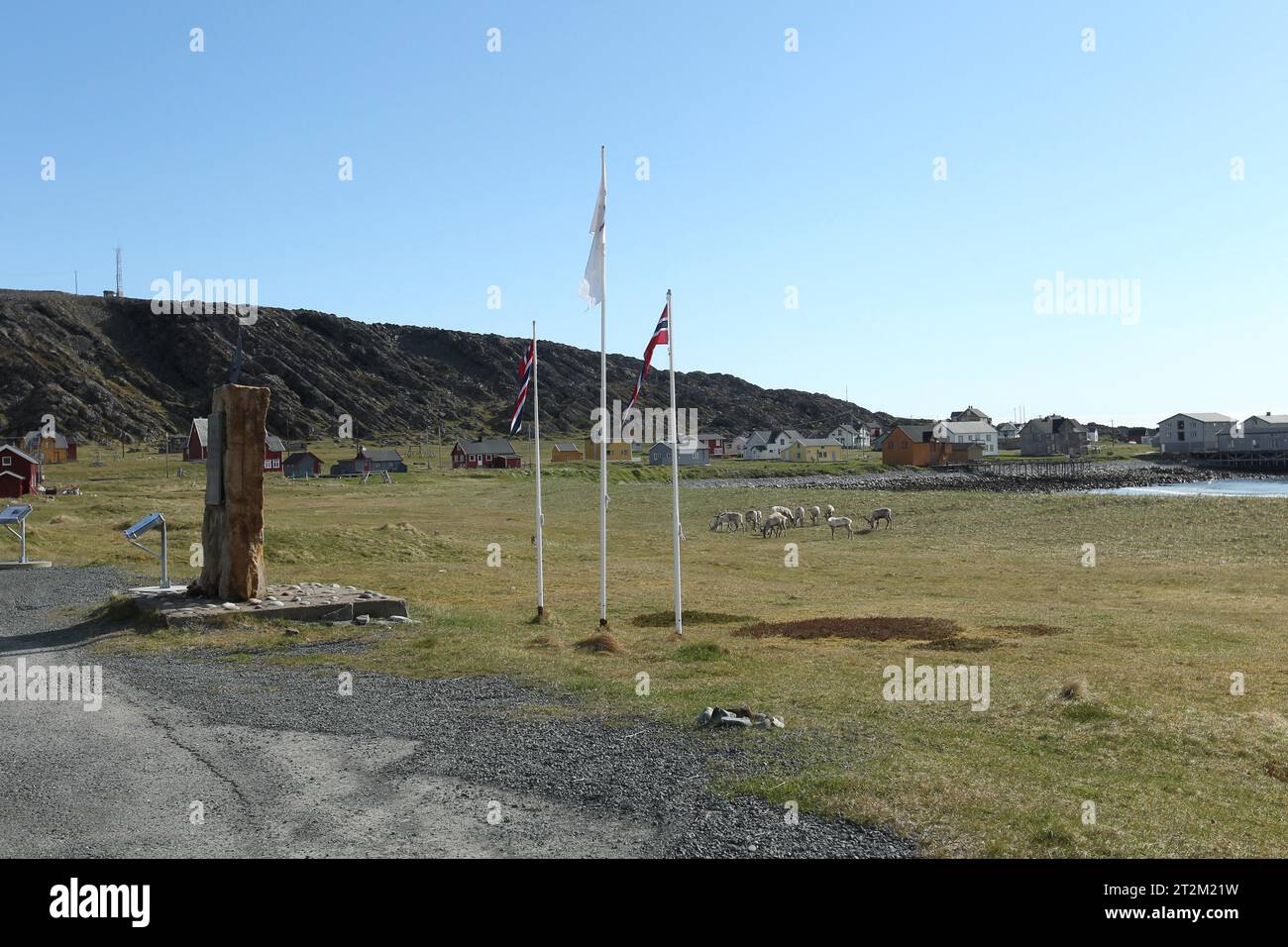Reindeer in the tundra in front of the abandoned fishing village of ...