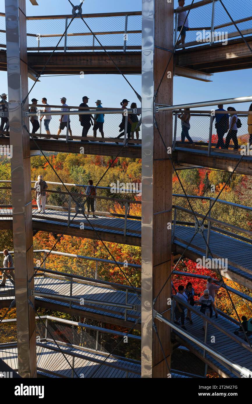 Tree top pad, visitors in the observation tower, Laurentian Region ...